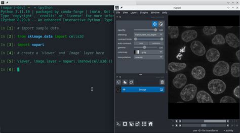 how to launch napari — napari