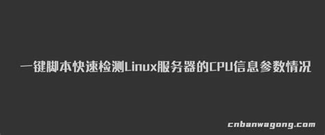 一键脚本快速检测linux服务器的cpu信息参数情况（shell源码） 搬瓦工中文网