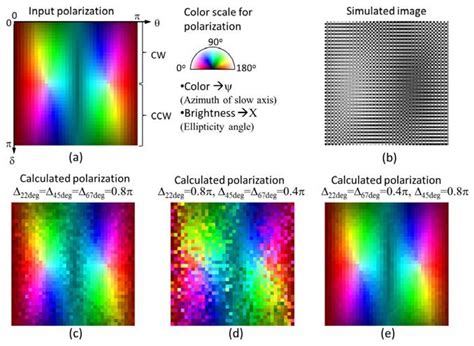 simulation of polarization imaging and analysis a input polarization