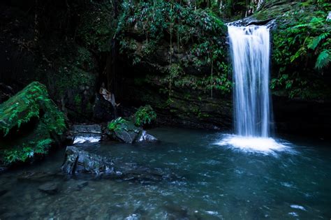 Ralizabeth Ethereal Wood Nymph