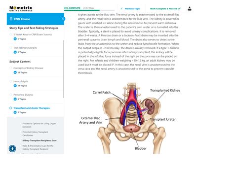 Cnn Certification Prep Course 600 Practice Questions Mometrix