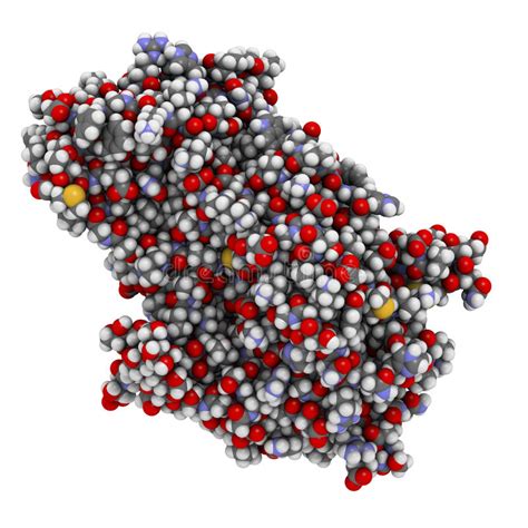 Alfa Galactosidase Agalsidase Enzym Stock Illustratie Illustratie