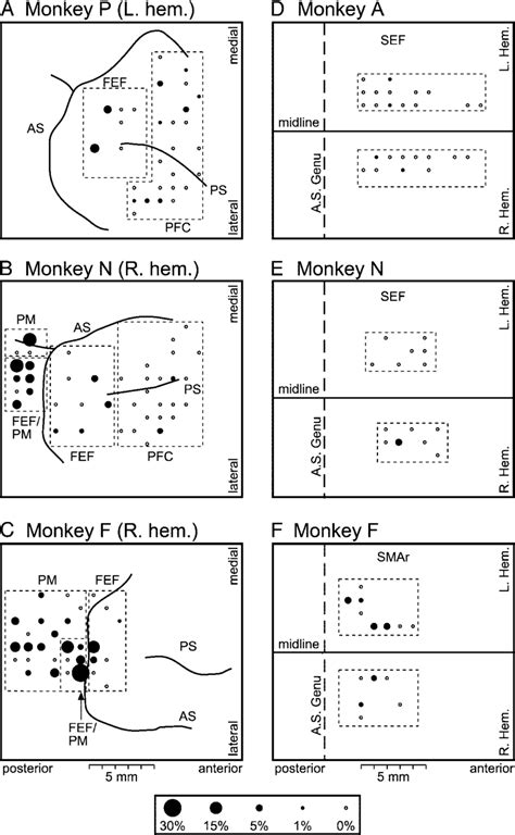 Frequency With Which Neuronal Firing Rate Was Significantly Increased