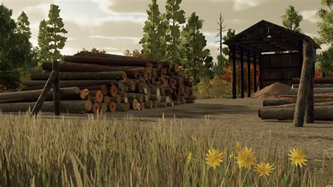 Some Views Of My Small Logging Operation On Silverrun R Farmingsimulator