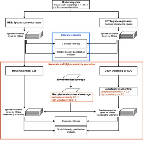 Infographic Depicting Key Steps In The Preparation Of Spatial Data