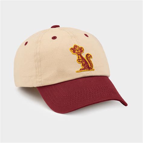 Minnesota Vintage Golden Gopher Two Tone Dad Hat Homefield