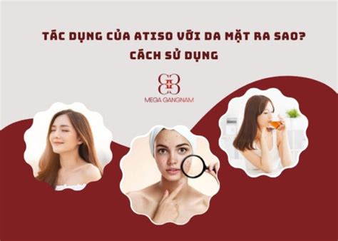 Tác Dụng Của Atiso Với Da Mặt Ra Sao Cách Sử Dụng