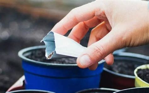 How To Make Your Own Quality Substrate Growbarato Net Blog