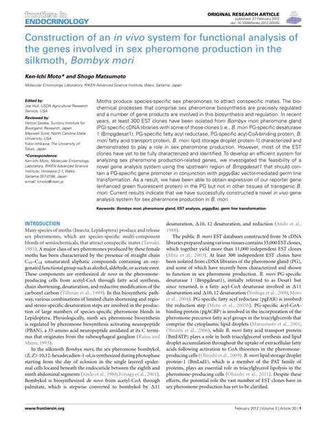 Pdf Construction Of An In Vivo System For Functional Analysis Of The