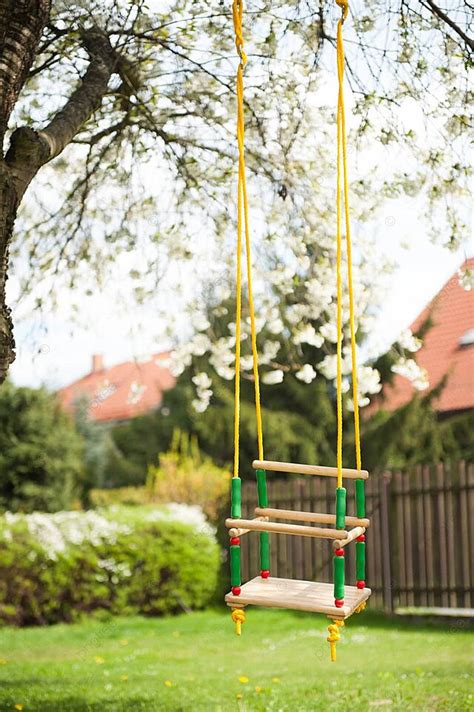 Tree Swing Branch Leaf Knot Photo Background And Picture For Free