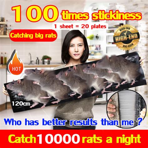 🐀catcher 10000 Rats In 1 Night🐀 Mouse Rat Trap100 Times Viscosity Super High Effective Rat Trap