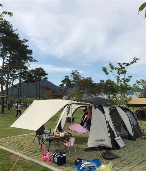 스노우라인 미라클패밀리 텐트 당근 중고거래