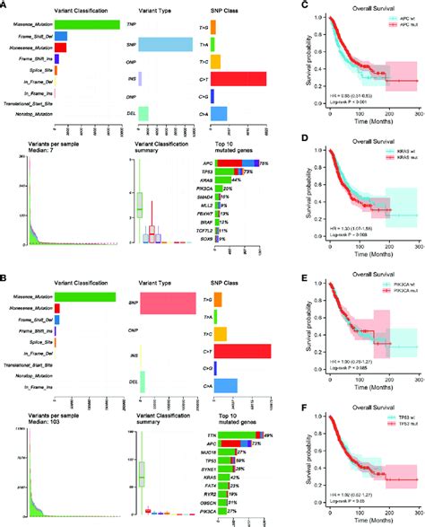 Genome Wide Mutation Profiling Of Patients With Colorectal Cancer