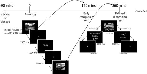 Episodic Memory