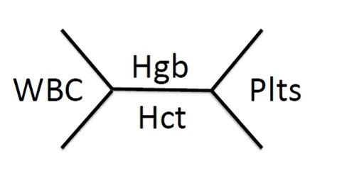 CBC W Diff Flashcards Quizlet