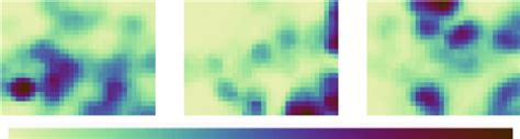 The Self Organizing Map Algorithm Calcu Lates A Network Of Prototype