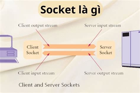 Socket Là Gì Những Loại Socket được ứng Dụng Trên Thị Trường