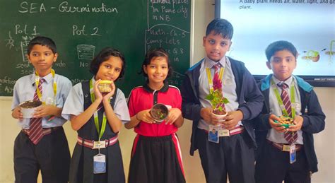 Grade Iii Seed Germination Activity