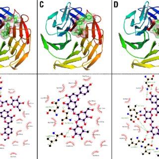 Binding Modes And Interaction Types Of A Download Scientific Diagram