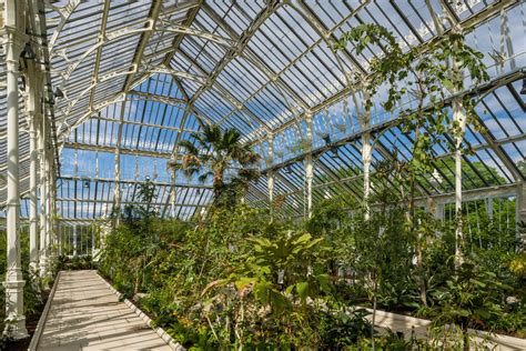 Donald Insall Associates Restores Victorian Glasshouse At Kew Gardens