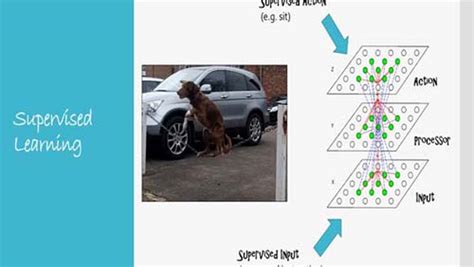 Emergent Neural Network In Reinforcement Learning Ieeetv