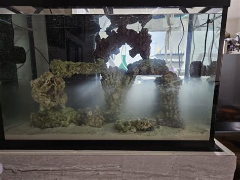 Delineation Of Fresh And Saltwater In My New Tank Rreeftank