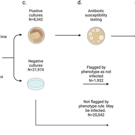 Personalized Antibiogram Coverage Rate As A Function Of The Antibiotic