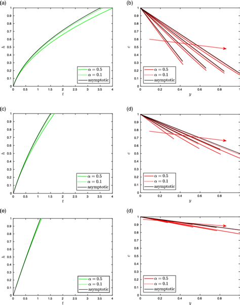 Numerical And Analytic Solutions Of The Sharp Interface Model 34 Download Scientific