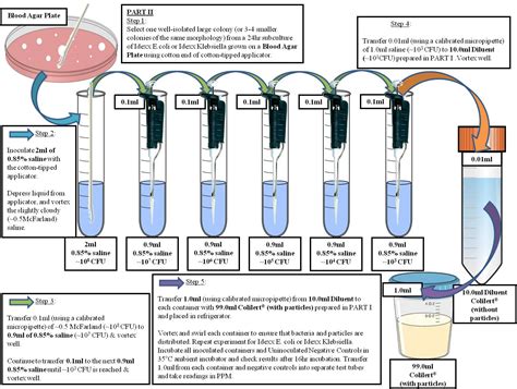 Membrane Filtration Method For Total Coliforms At Louise Rizo Blog