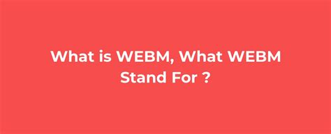 What Is Rtf What Rtf Stand For Examplefile Example File