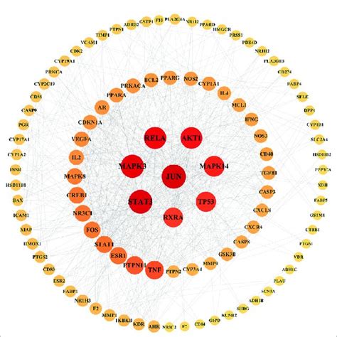 Ppi Network Diagram Of Target Proteins The Nodes With A Larger Area