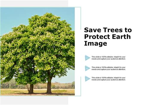 Save Trees To Protect Earth Image Powerpoint Templates Designs Ppt Slide Examples