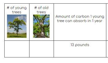 Tree Observation Calculation Of CO2 Absorption By Teaching For The Planet