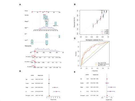 Construction And Verification Of Predictive Nomogram A The Nomogram Download Scientific