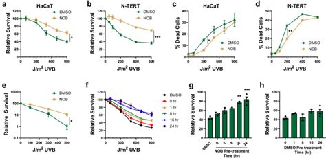 Nobiletin Promotes Keratinocyte Survival In Response To Uvb Radiation