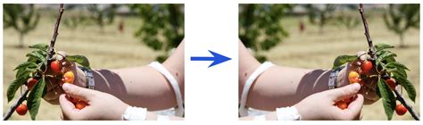 Learn Git Commands To Level Up Your Skill Opensource