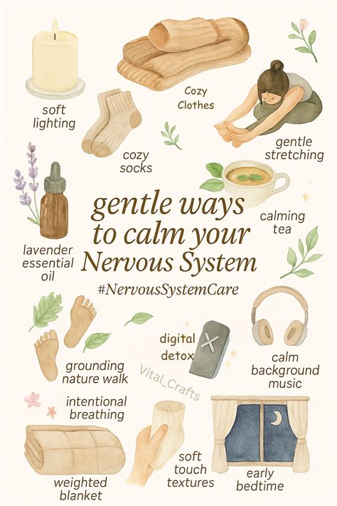Gentle Ways To Calm Your Nervous System Health And Wellness Mental