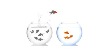 When And Where To Migrate Your Legacy System