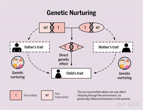 【短概念】遗传养育(genetic Nurture)效应 知乎 【短概念】遗传养育(genetic Nurture)效应 知乎