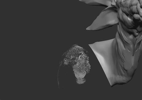 Stuck With The Artifacts Rzbrush