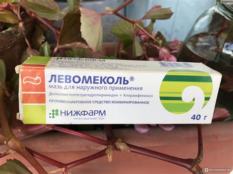 Средства, стимулирующие регенерацию Stada / Нижфарм Левомеколь ...