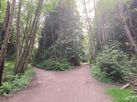 Diverging Paths Teresamdouglas