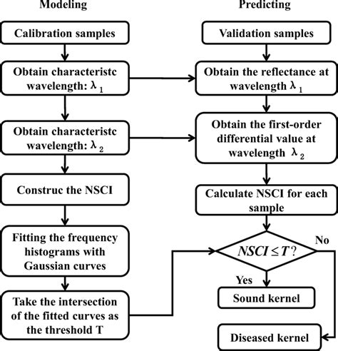 flow chart of modelling and predicting download scientific diagram