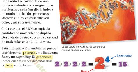 Potencias Ejemplos Resueltos De Matematica 8 Octavo AÑo Pdf