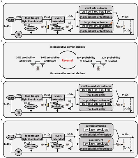 frontiers effects of reproductive experience on cost benefit decision