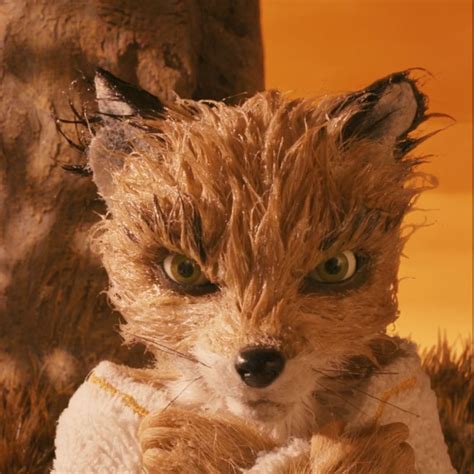 Ash Fox Fantastic Mr Fox Fantastic Fox Fox