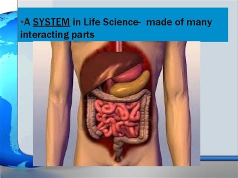 Introduction To Earth Science Open Closed Isolated Systems