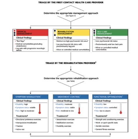 Msk Ii Exam I Treatment Based Classification Of Lbp Flashcards Quizlet