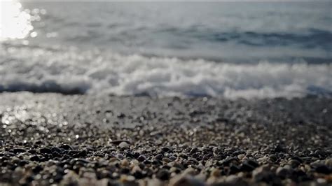 Video Sofia Cortés I Calaf Posted On Linkedin