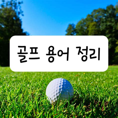 골프 용어 정리